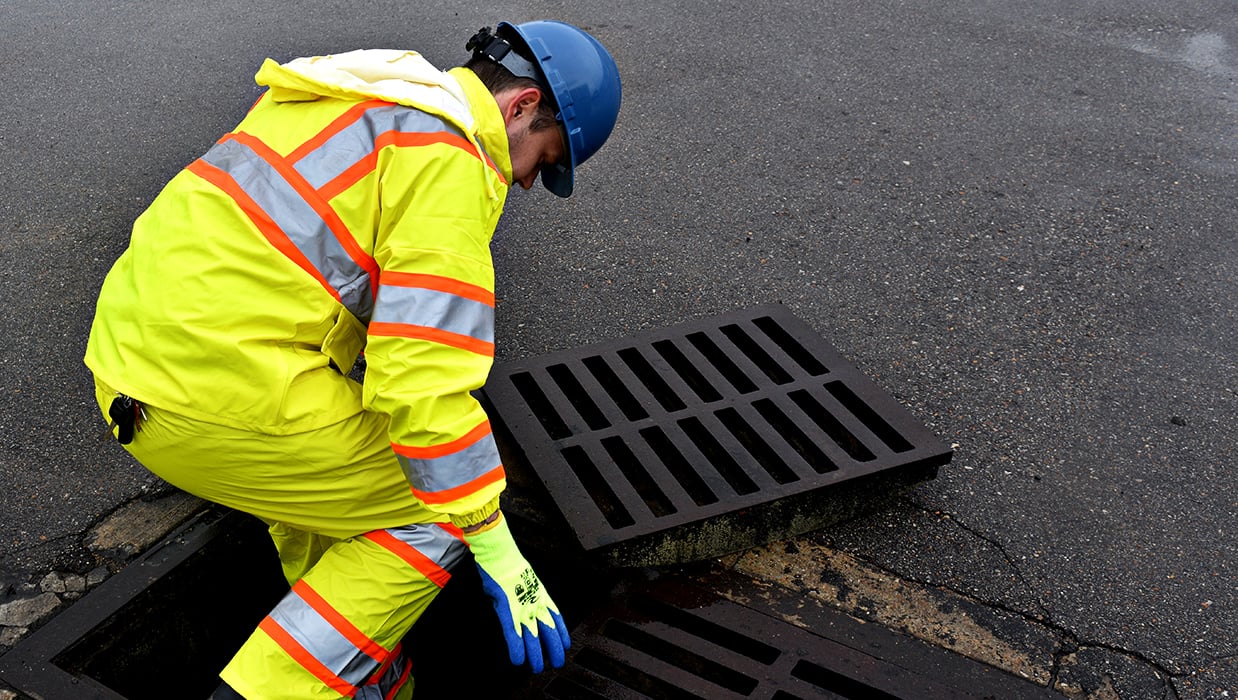 Neese by Radians